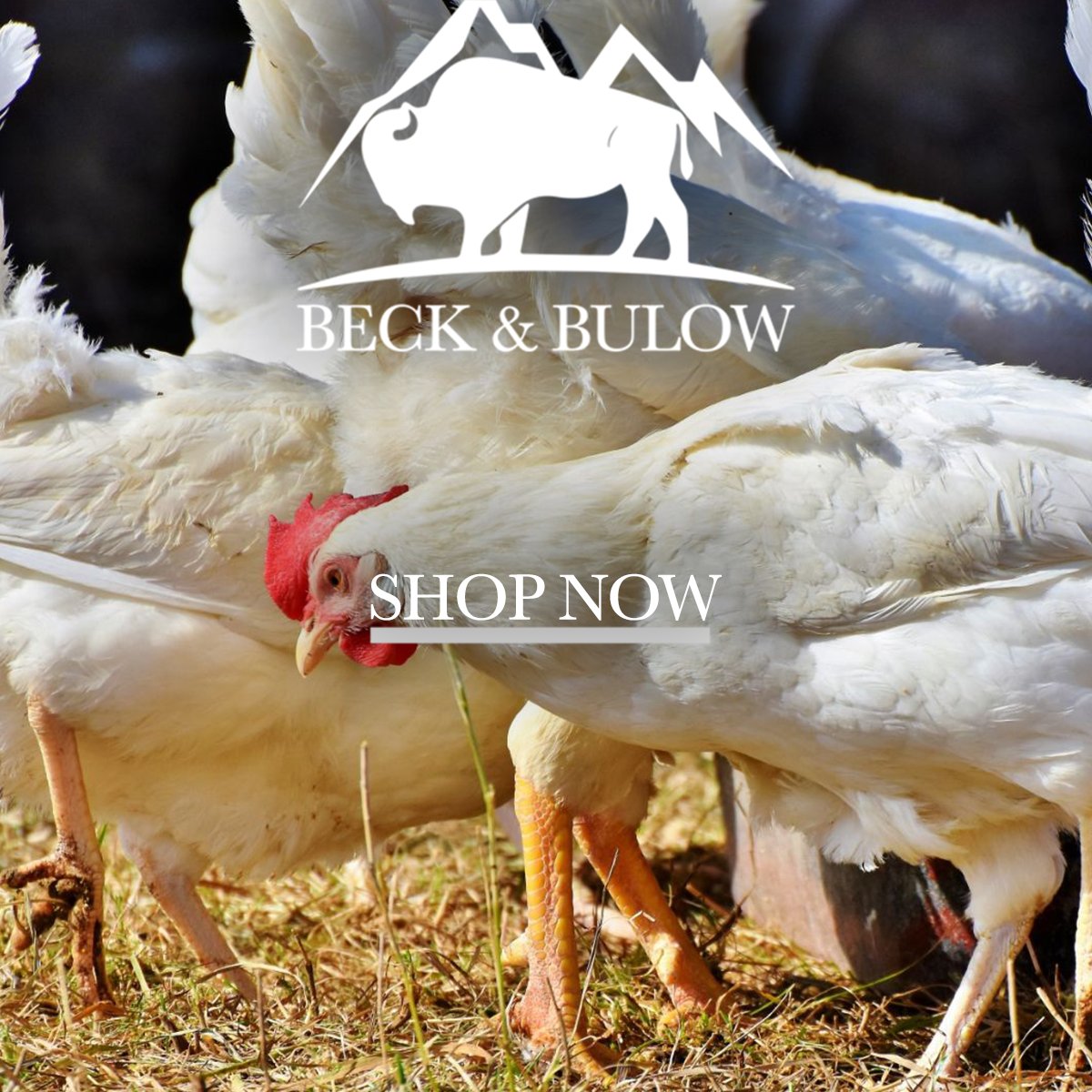 Order All Natural, Hand Cut & Humanely Raised Chicken