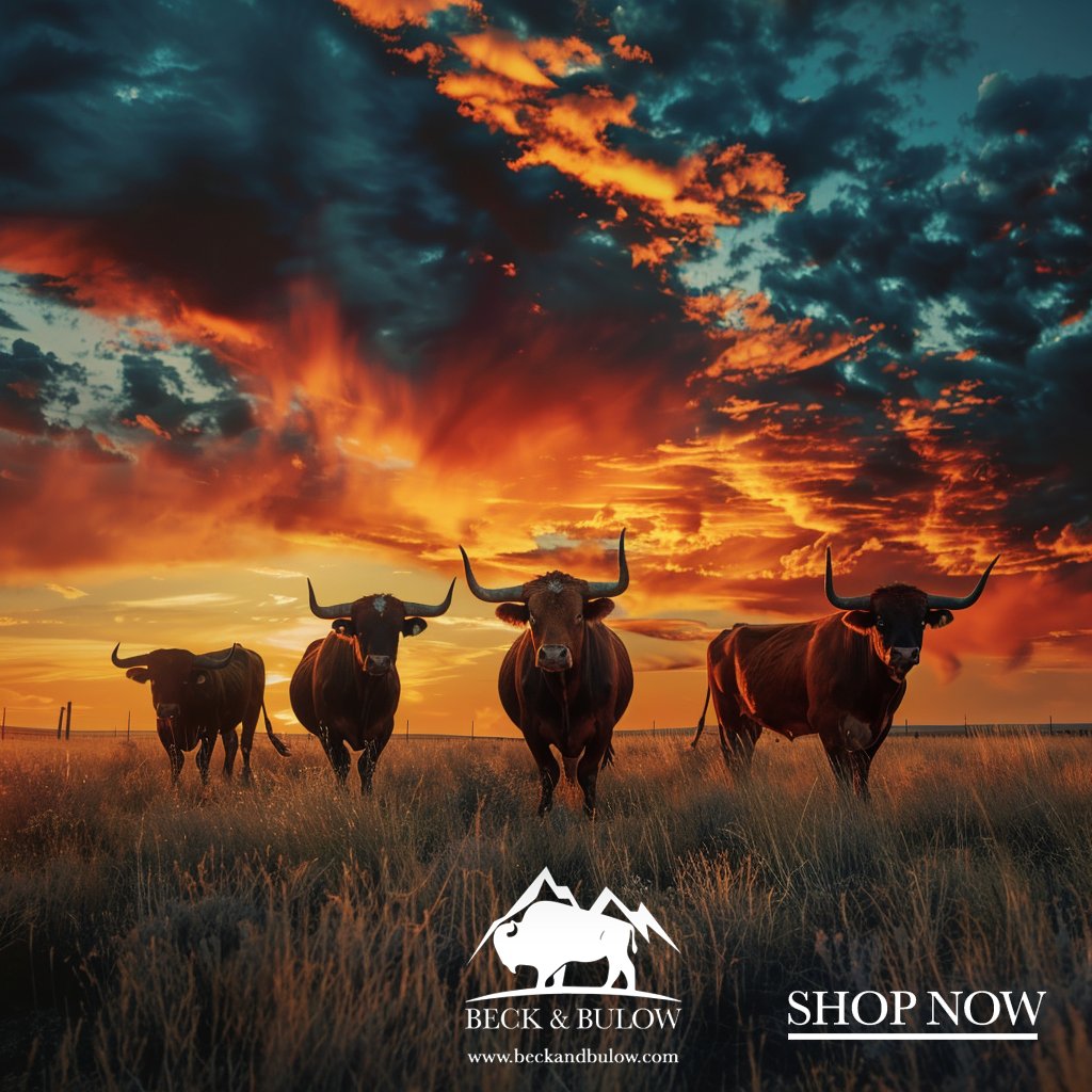 Premium Humanely Raised Grass Fed & Grass Finished Beef