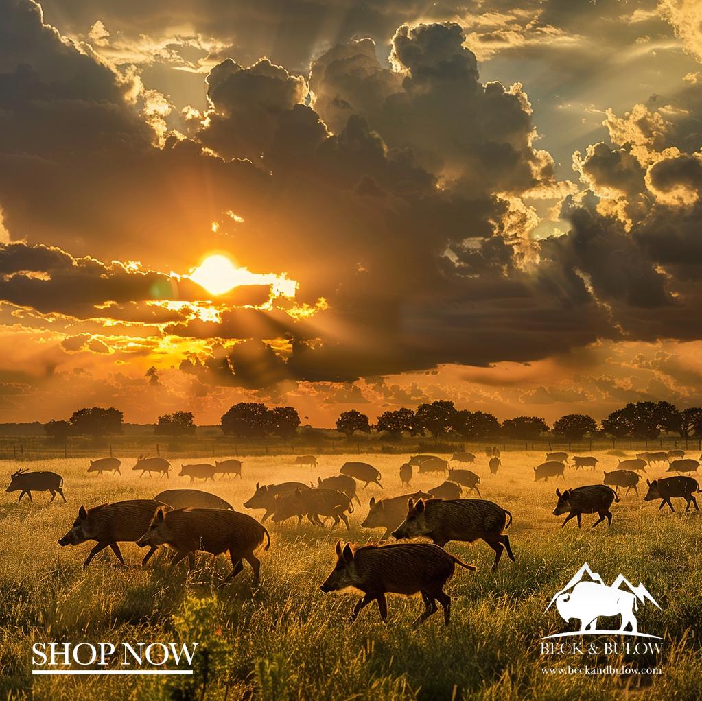 Southwestern Wild Boar Delivered Straight To Your Door