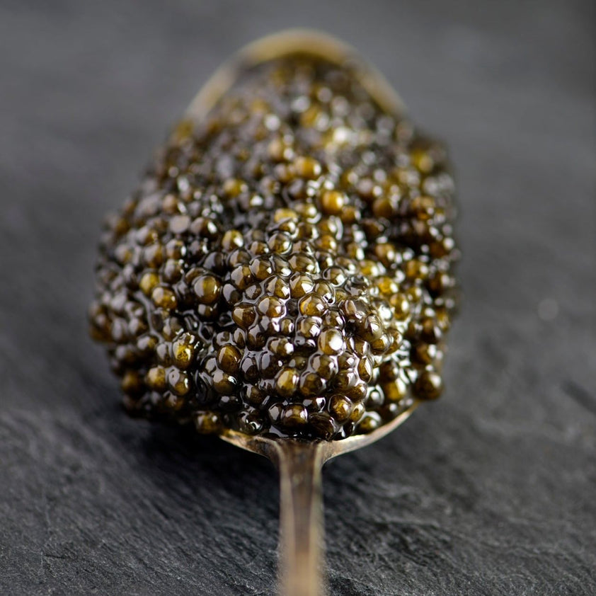Buy Exquisiteness Golden Osetra Caviar For Memorable Compliments