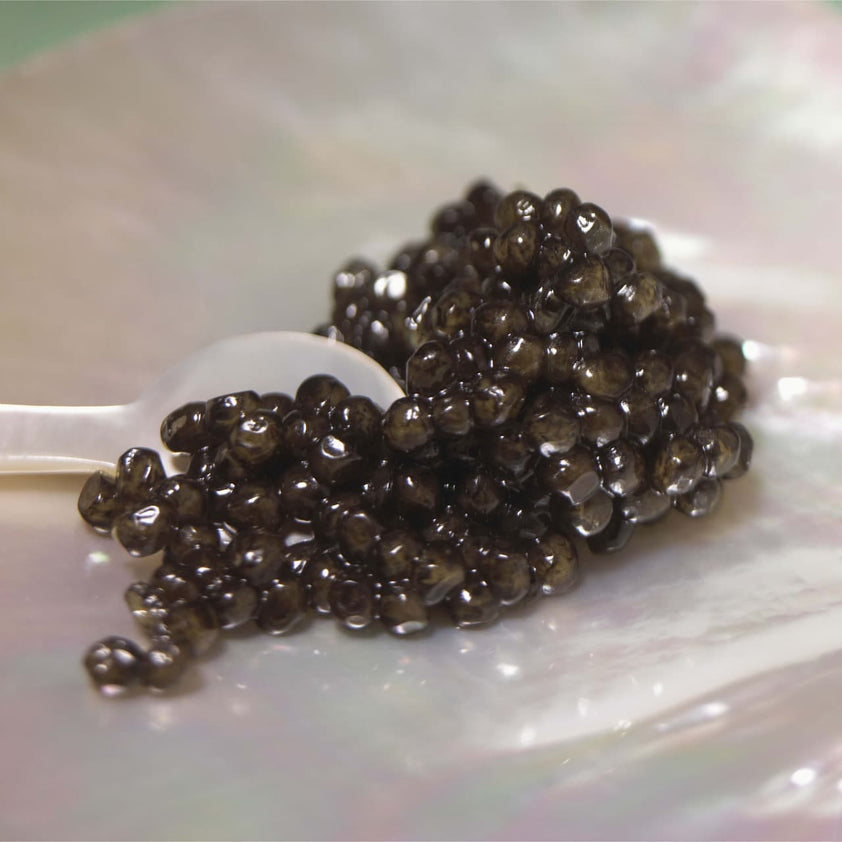 Buy Exquisiteness Golden Osetra Caviar For Memorable Compliments